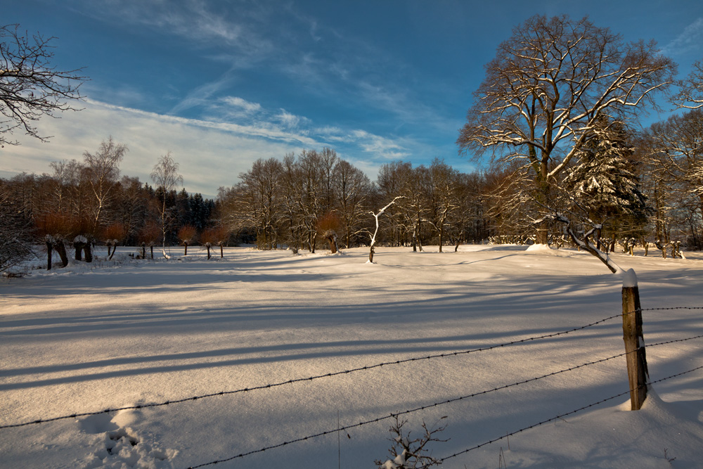 Winterimpressionen - Bildergallerie - Foto-Tipps